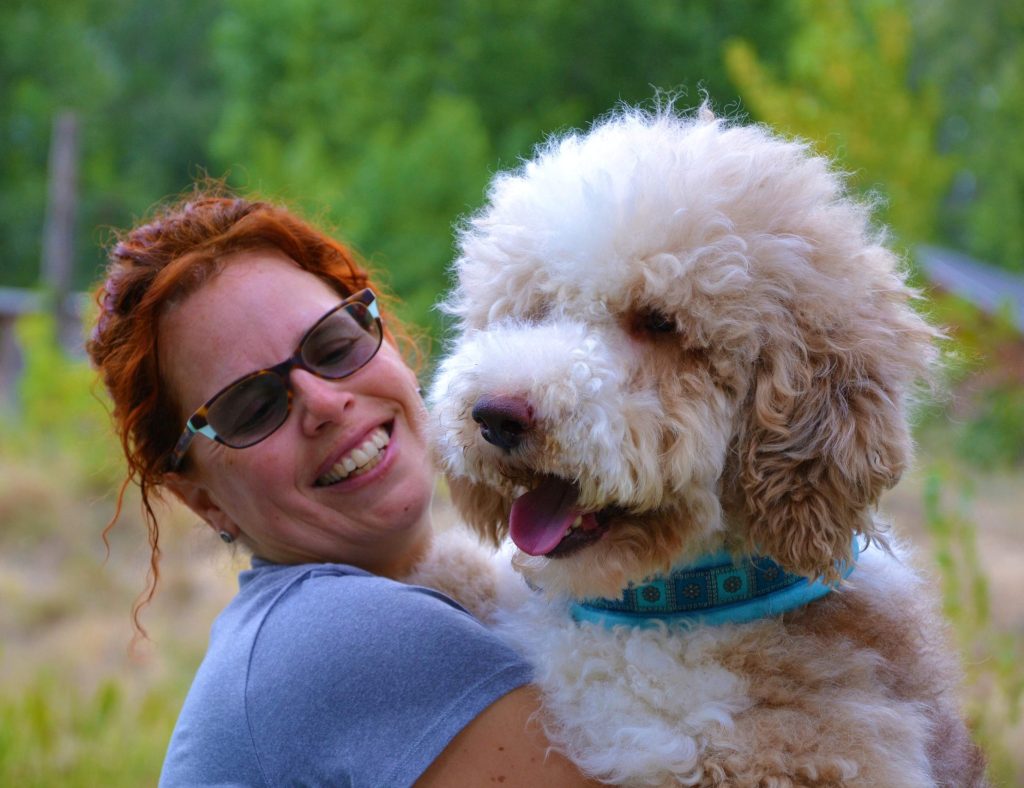 Particolor Giant Poodle Kennel | Curly & Lovely